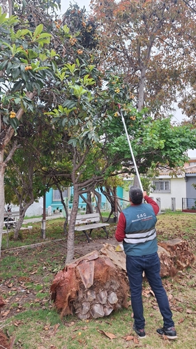 Municipalidad de Vallenar y SAG llaman a la comunidad a colaborar en ...